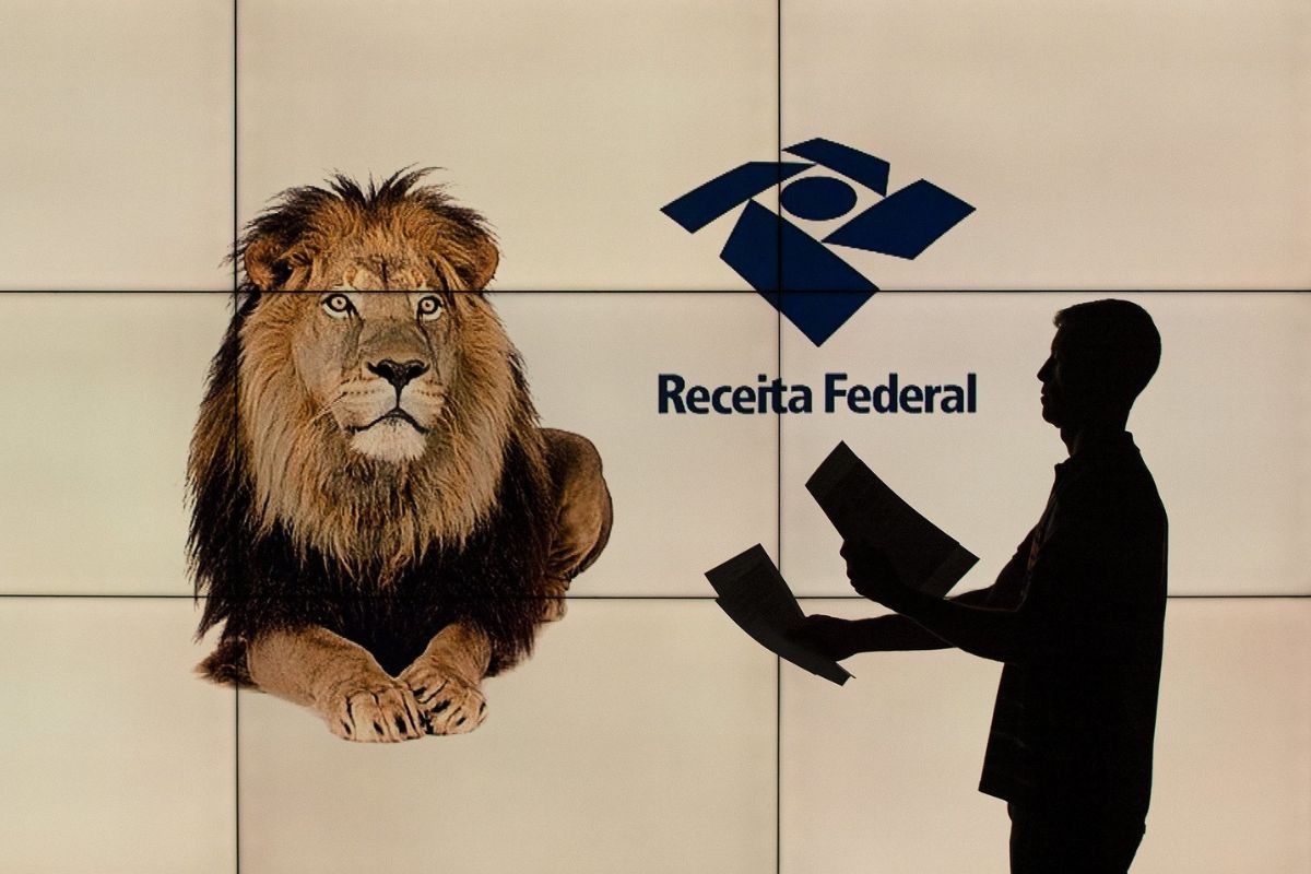 IRPF 2025: Passo a Passo para Baixar o Programa da Declaração